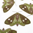 Moths Tea Towel – Gingiber